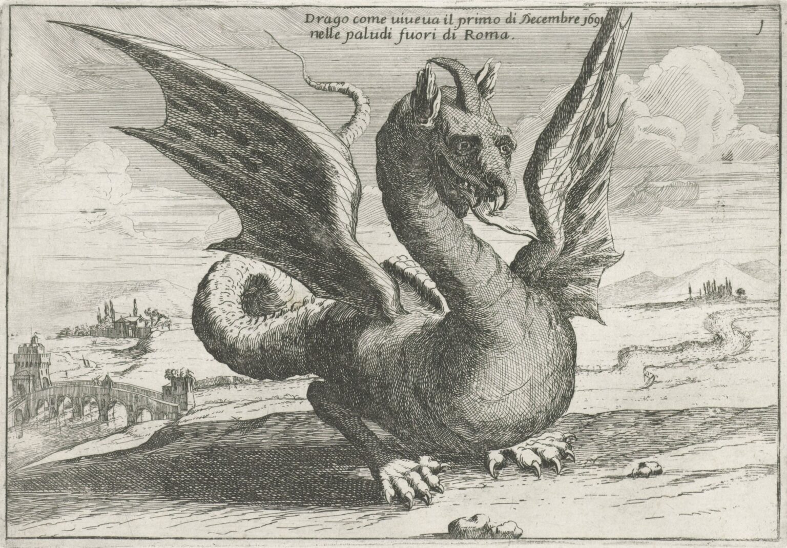 Folklore Fact – Wyverns – Maegan A. Stebbins – Maverick-Werewolf's Den